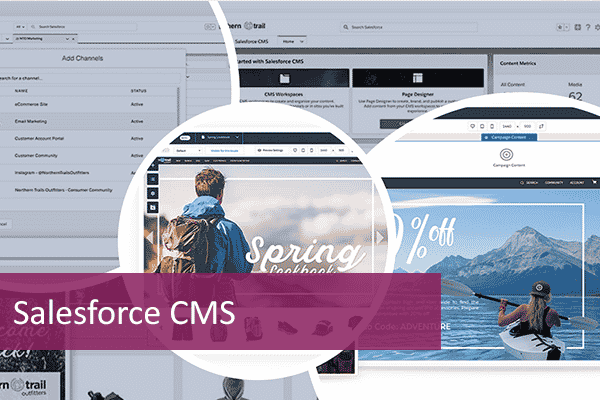Salesforce Content Management System - Wissen | comselect GmbH