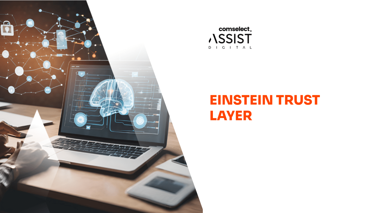 Einstein Trust Layer | comselect GmbH
